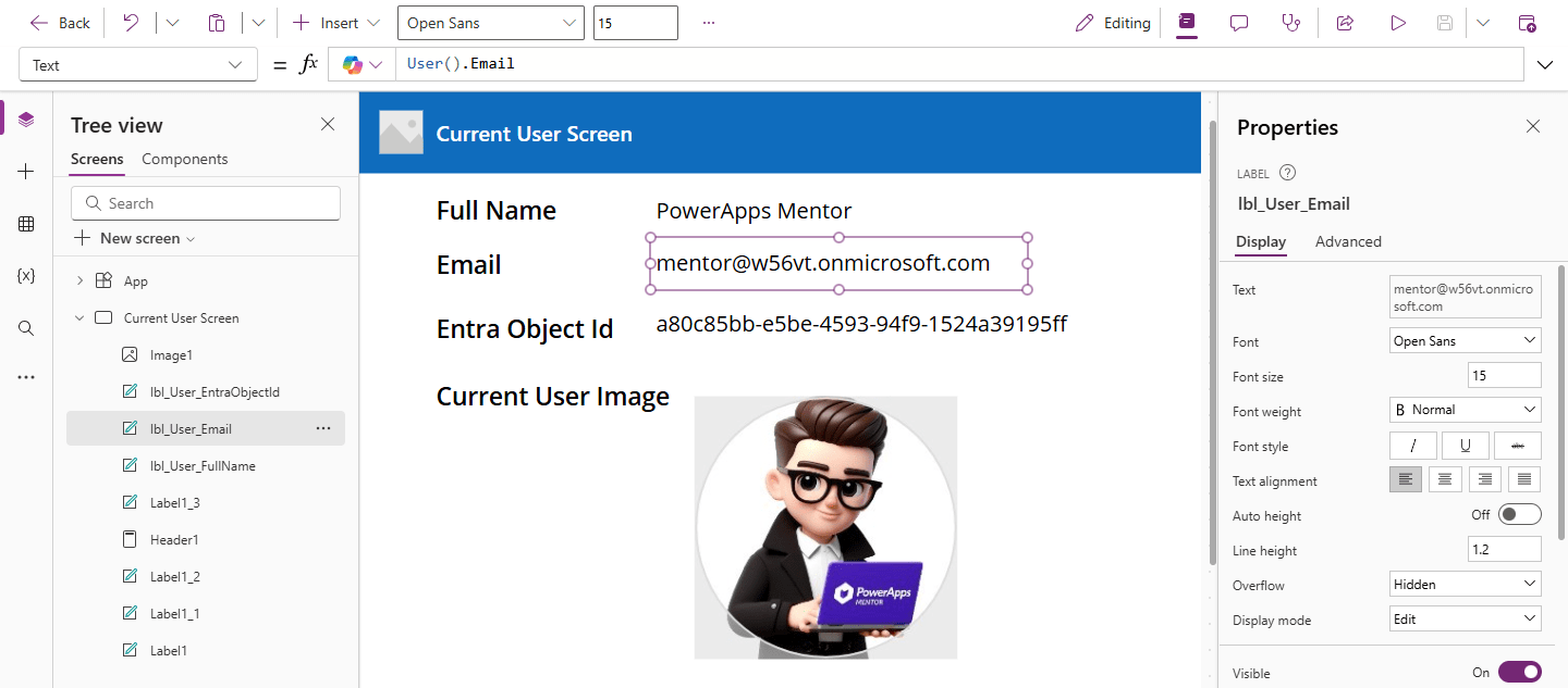 What is PowerApps User Function and What's the purpose of it with ...